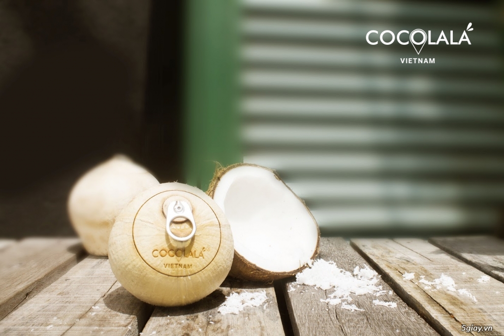 Dừa Xiêm Nắp Khoen Cocolala 5giay