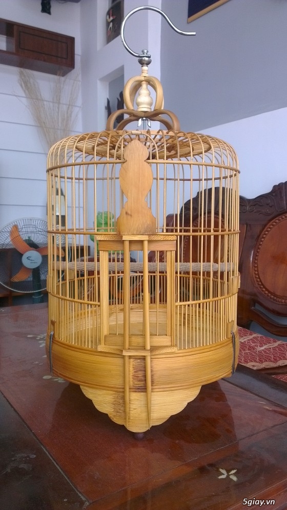 Chim - - bán lòng chim | 5giay