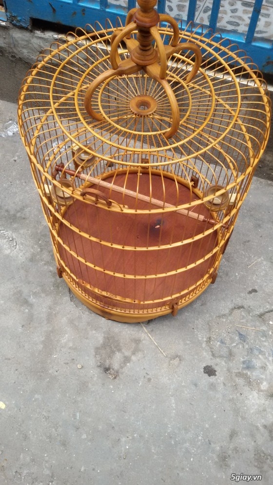Chim - - lồng chim đẹp | 5giay