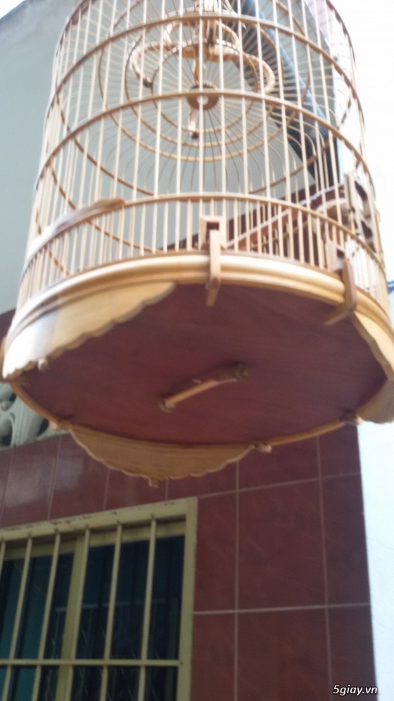 Chim - - lồng chim đẹp | 5giay
