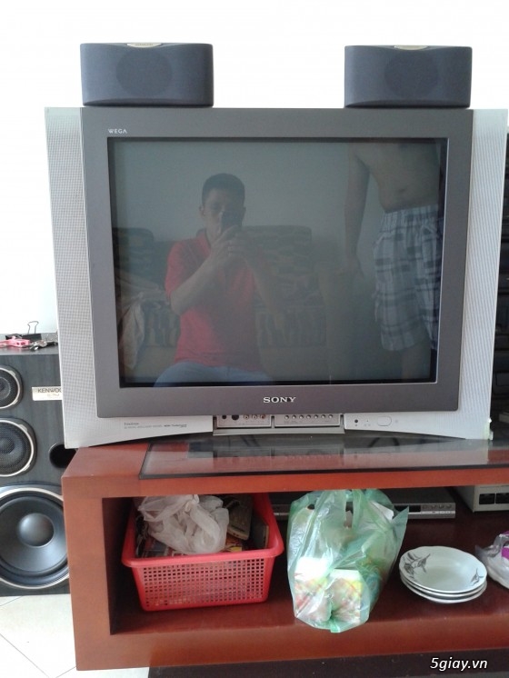 Tivi - LCD - - cần bán 2 cái tivi sony 21 inch và panasonic 29 inch | 5giay