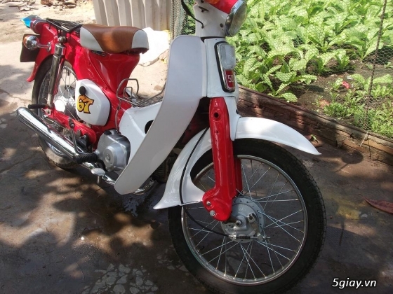 Cub 78 50cc dọn kiểng cho sinh viên | 5giay