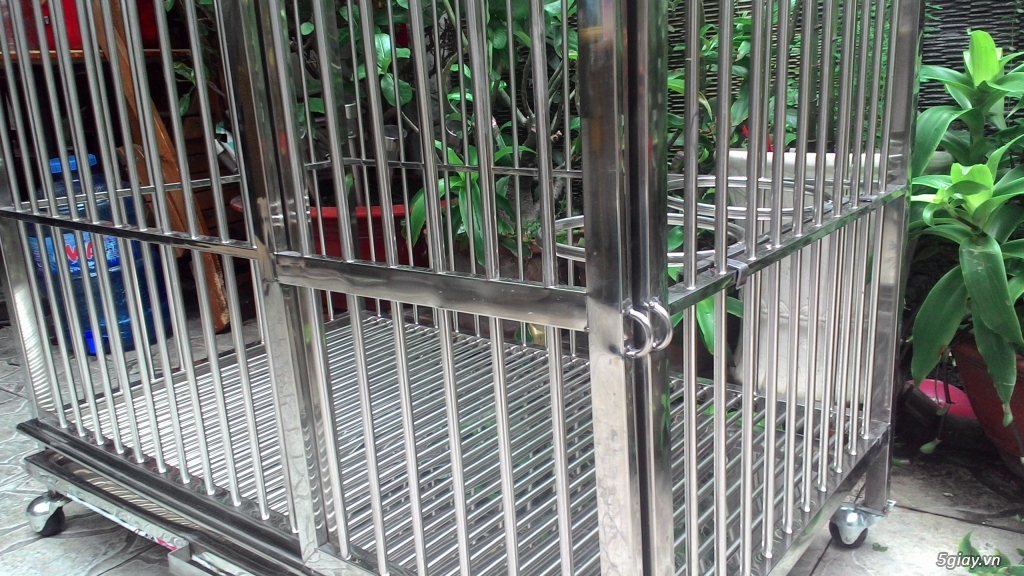 Chuồng chó inox | 5giay