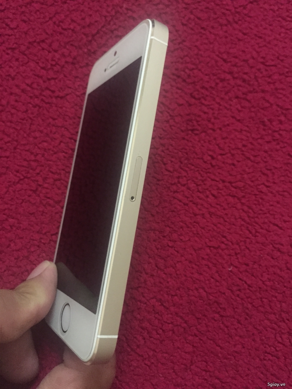 IP 5s Gold 16GB 99% | 5giay