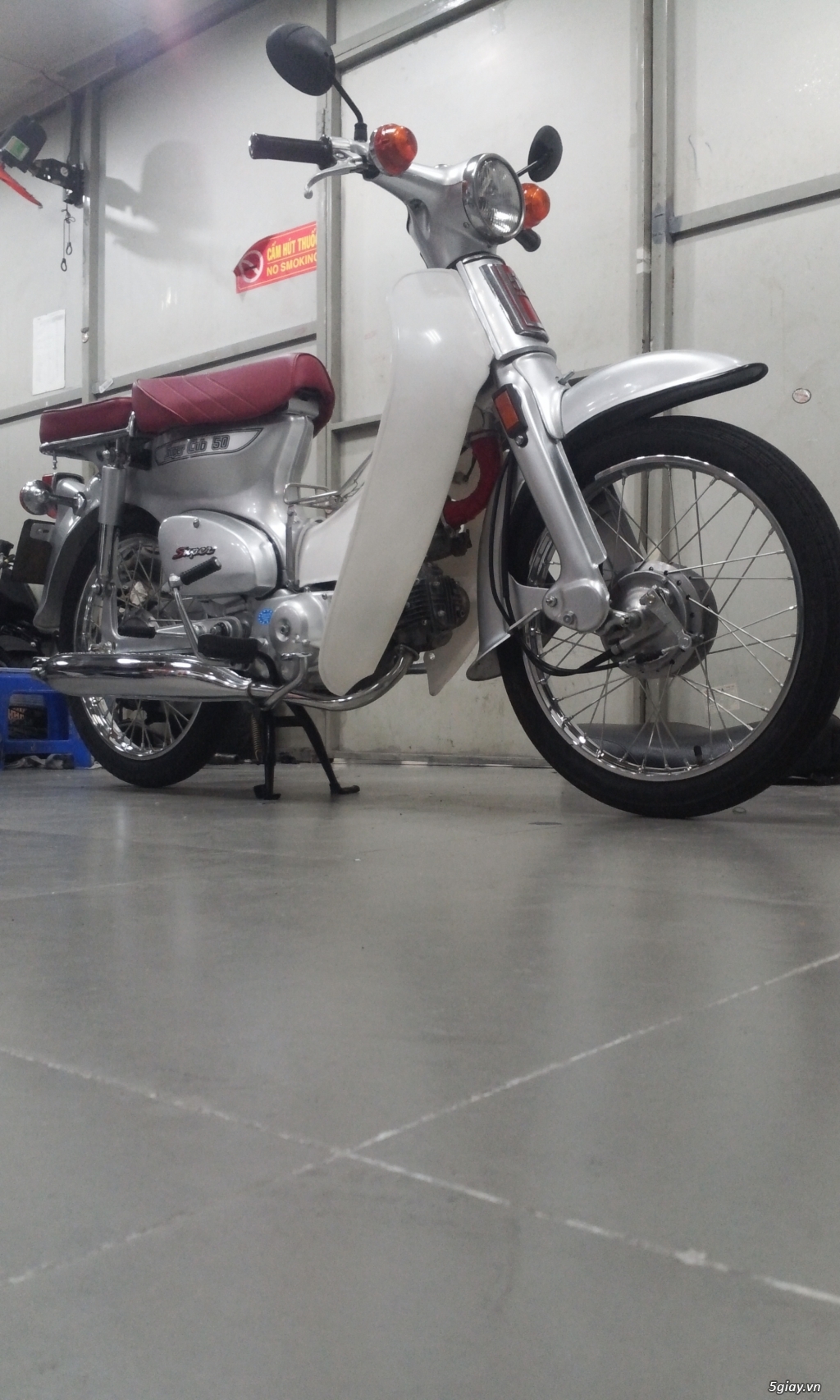 honda cup 50 (cánh én) | 5giay