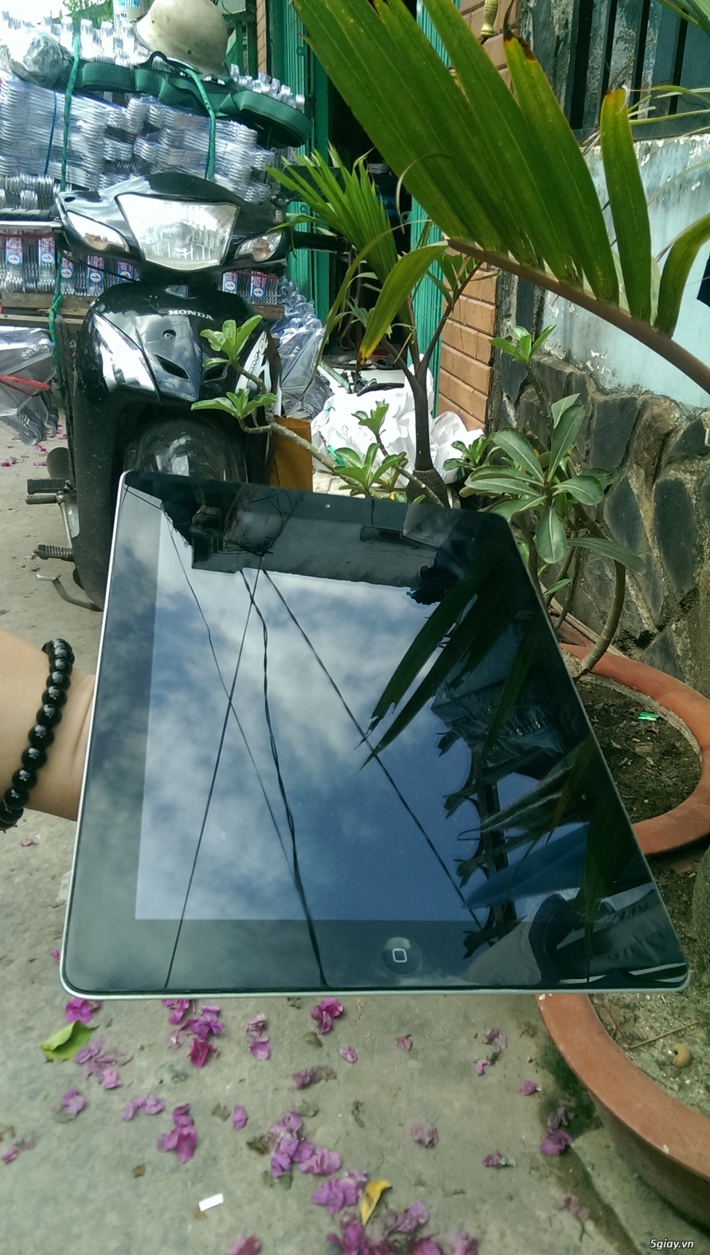 iPad - - ipad 2 16g | 5giay