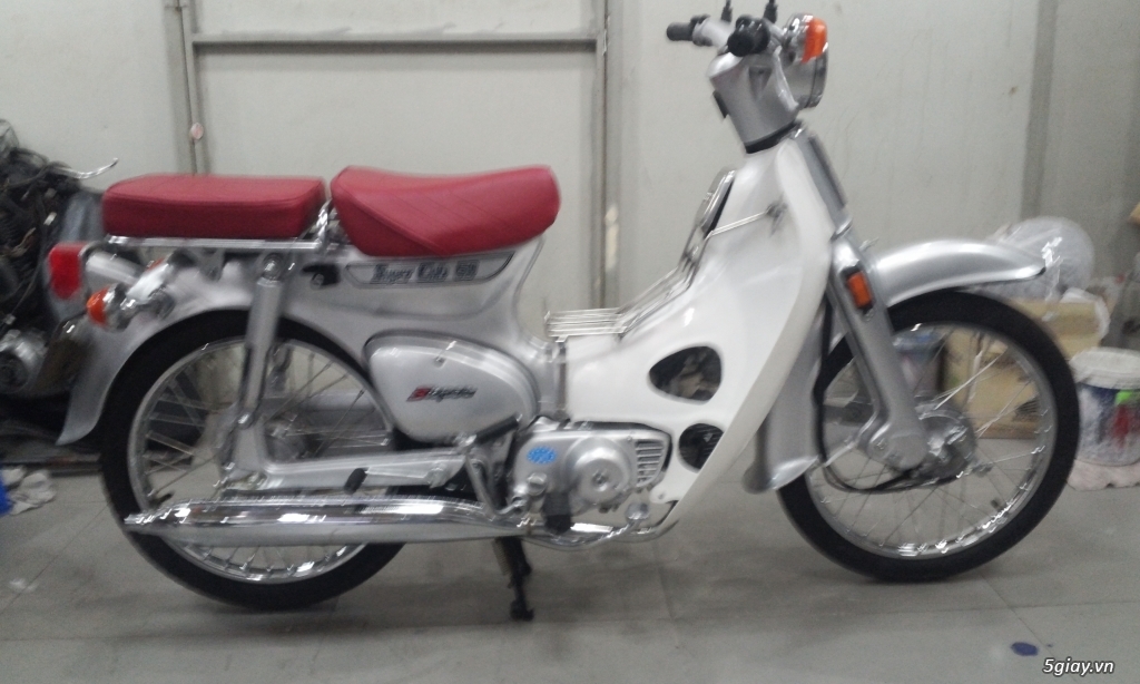 honda cup 50 (cánh én) | 5giay