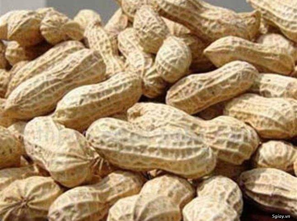 Đậu phộng rang kẹo đậu phộng đặc sản đức hòa | 5giay