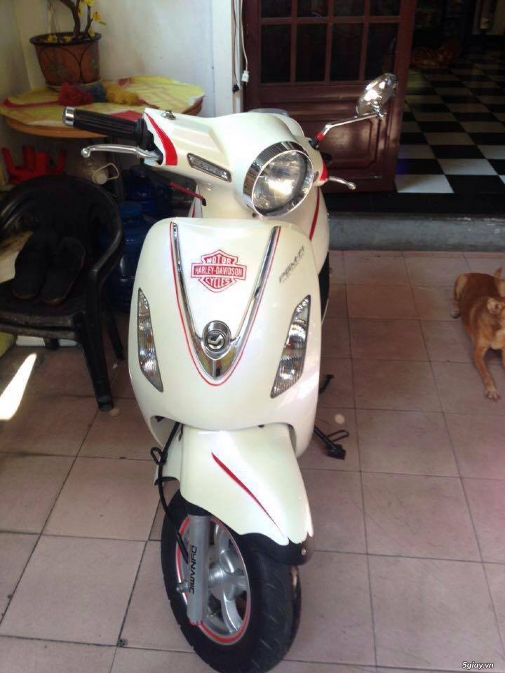 Xe Attila Elizabeth màu trắng | 5giay