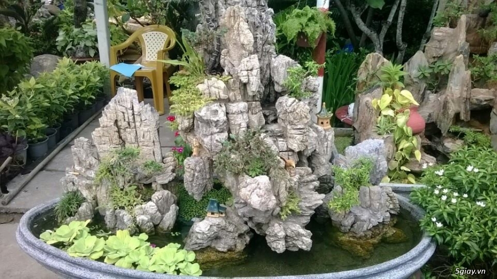 Đá Tai mèo - Da Voi các tỉnh miền tây | 5giay