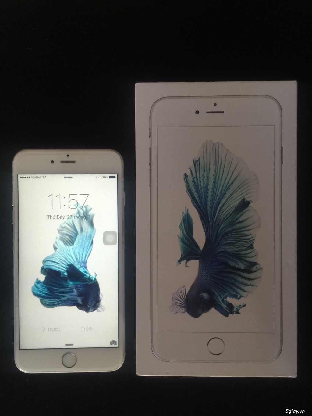 IP 6s Plus Silver ( 64gb ) Quốc Tế mới 99% !!! | 5giay