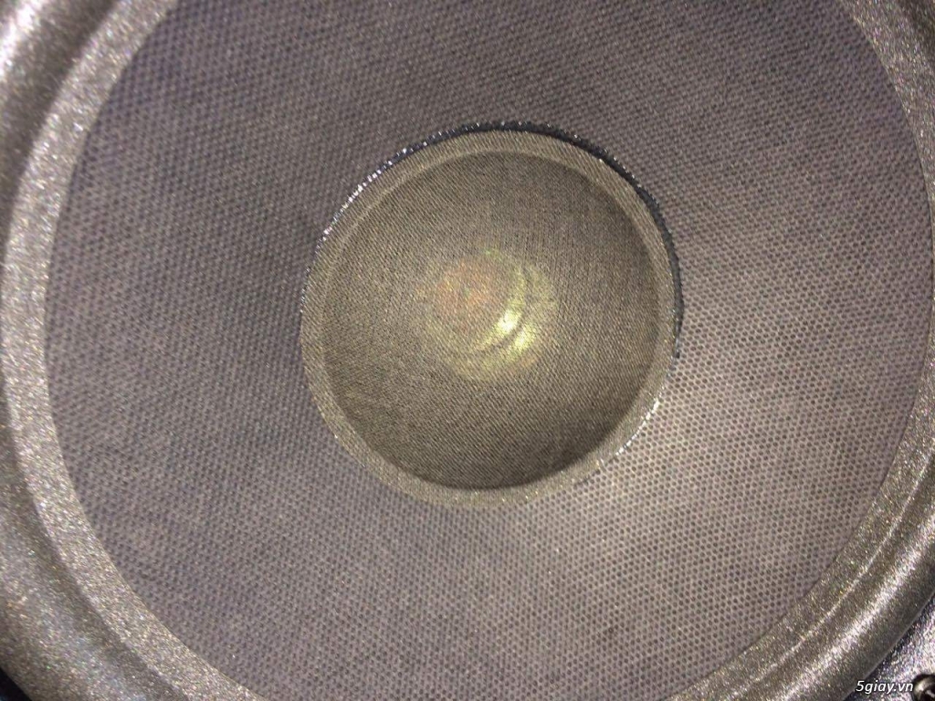 Thanh lý bose 301 v , infinity rs625 | 5giay