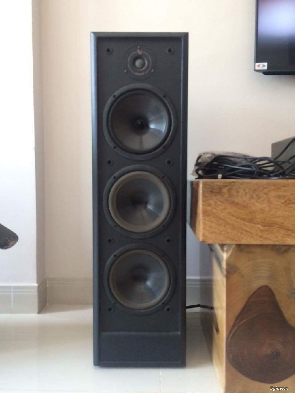 Thanh lý bose 301 v , infinity rs625 | 5giay