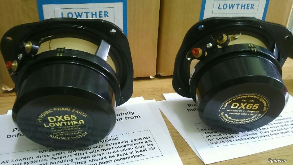 Fullrange LOWTHER DX65 (New) | 5giay