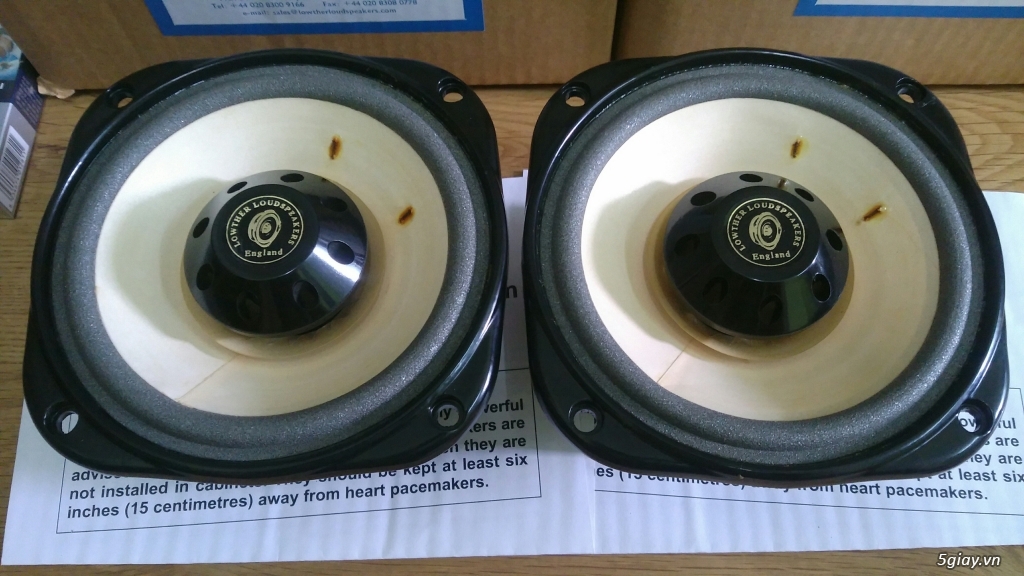 Fullrange LOWTHER DX65 (New) | 5giay