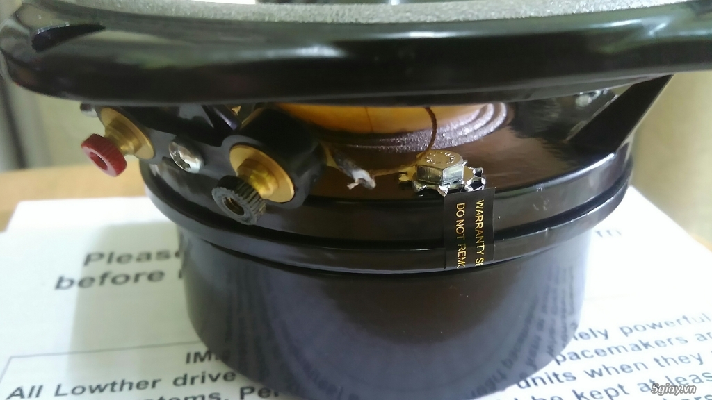 Fullrange LOWTHER DX65 (New) | 5giay