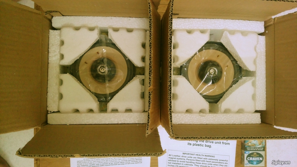 Fullrange LOWTHER DX65 (New) | 5giay