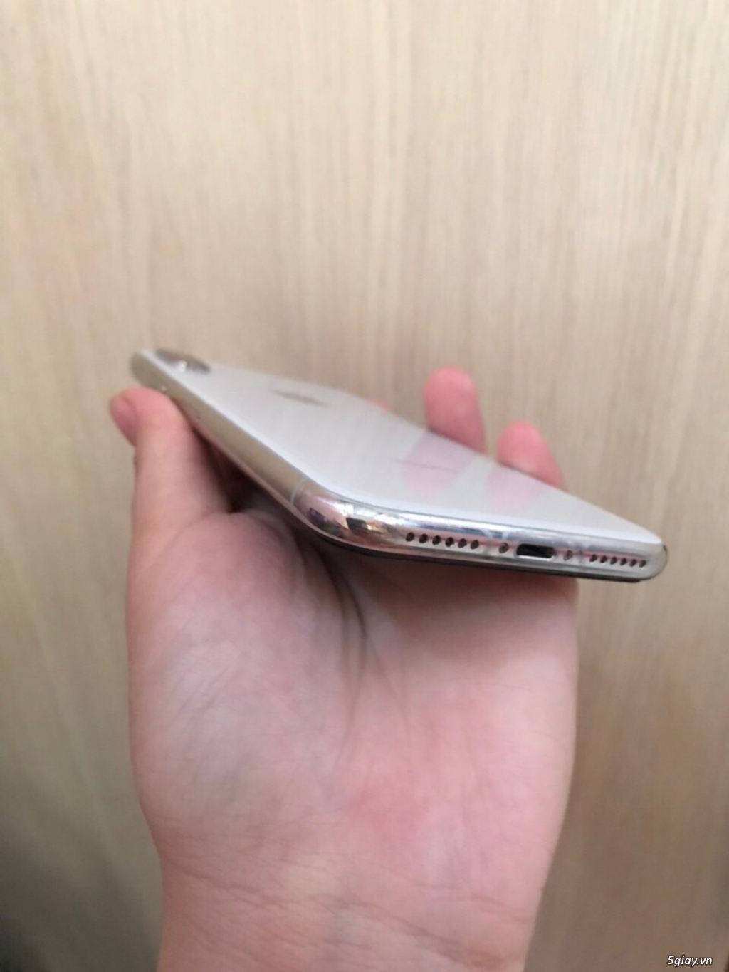 Iphone 6 - 6S - 6SP - 7 - 7P - 8P | 5giay