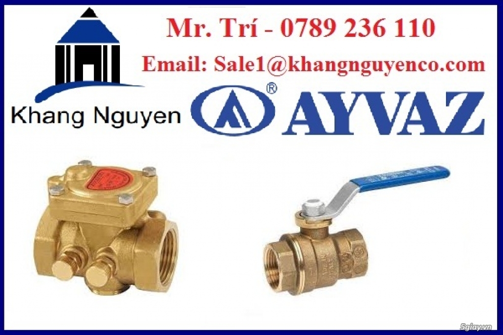 Van một chiều Ayvaz – Check Valves Ayvaz Việt Nam | 5giay