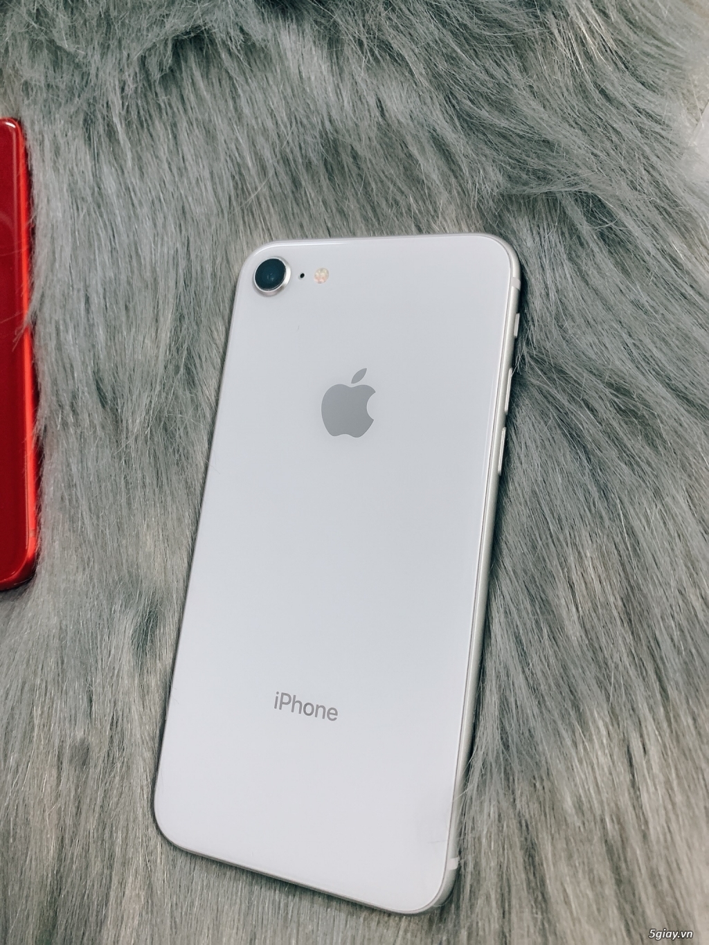 Ip8 giá rẻ có thể fix thêm | 5giay