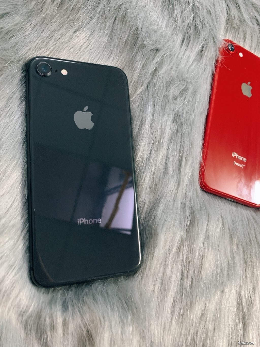 Ip8 giá rẻ có thể fix thêm | 5giay