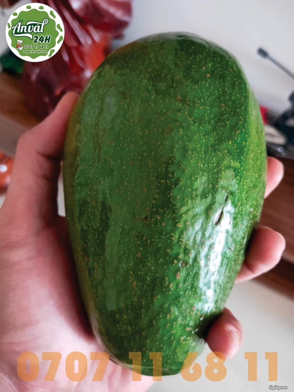 Bơ Đắc Lắc bao ngon | 5giay