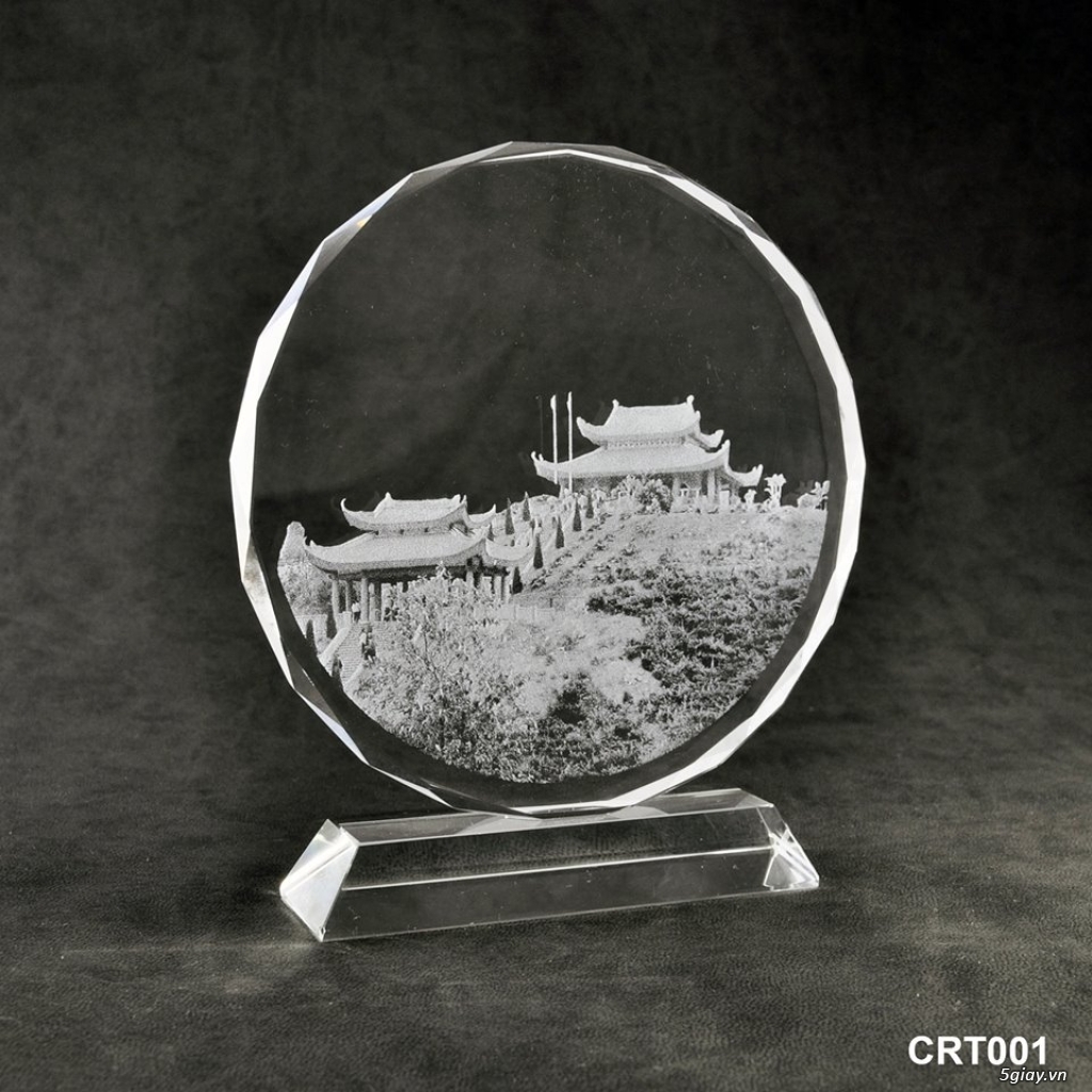 Biểu trưng phale, cup phale in ấn logo theo yêu cầu | 5giay