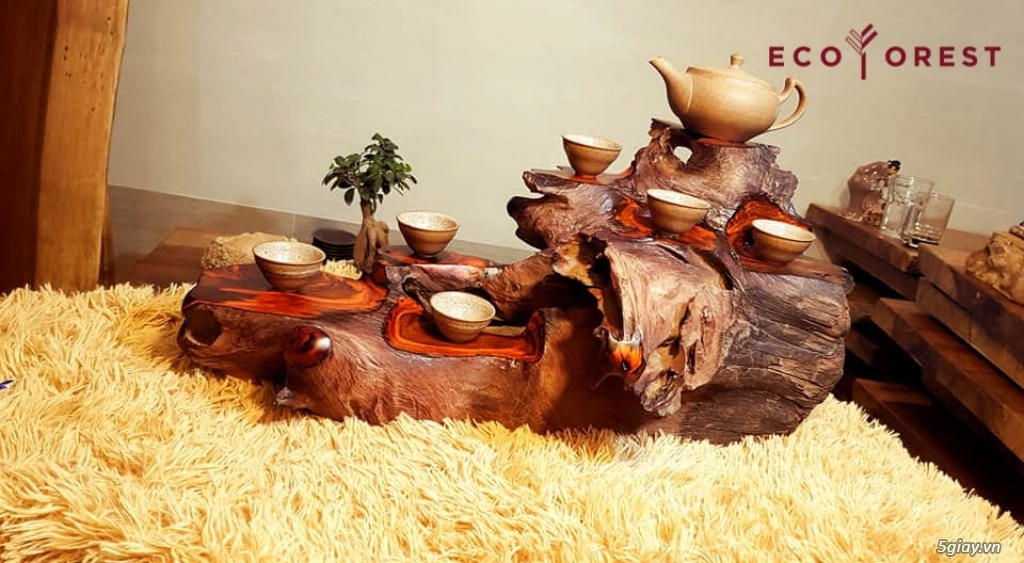 Eco Forest Home Decor 5giay eco-forest-home-decor-5giay