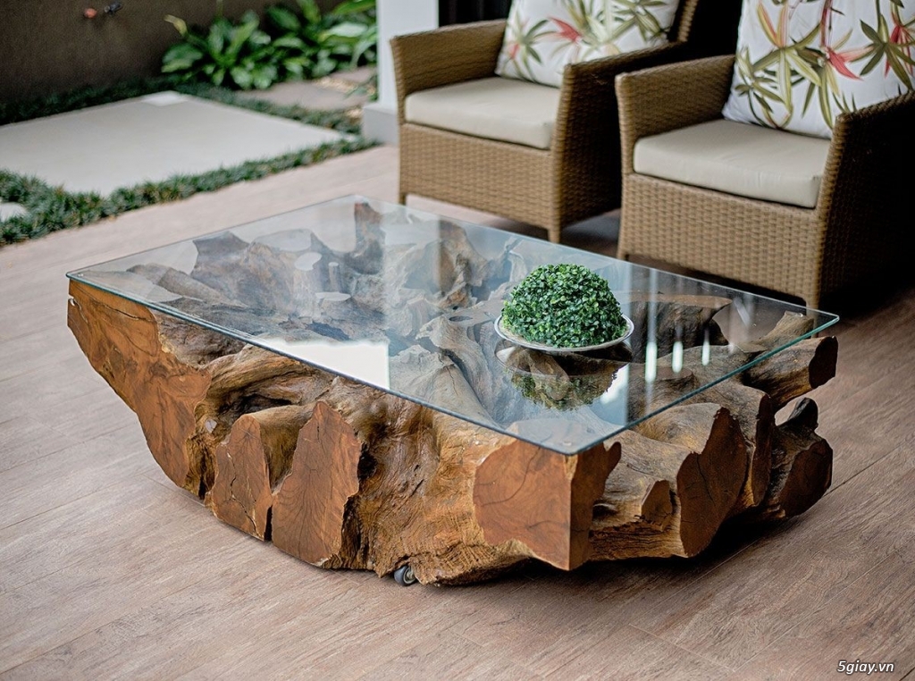 Eco Forest Home Decor | 5giay