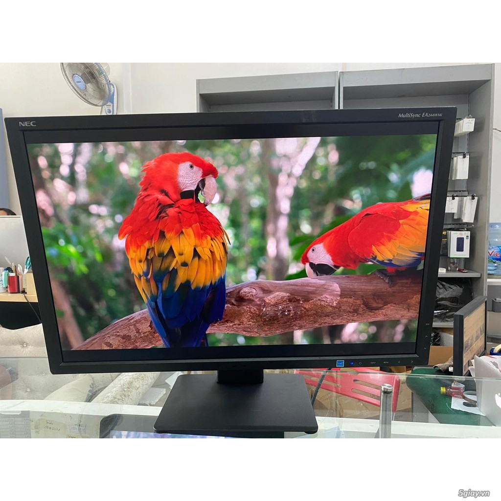 Màn hình máy tính Nec 24 inch EA244WMi | 5giay