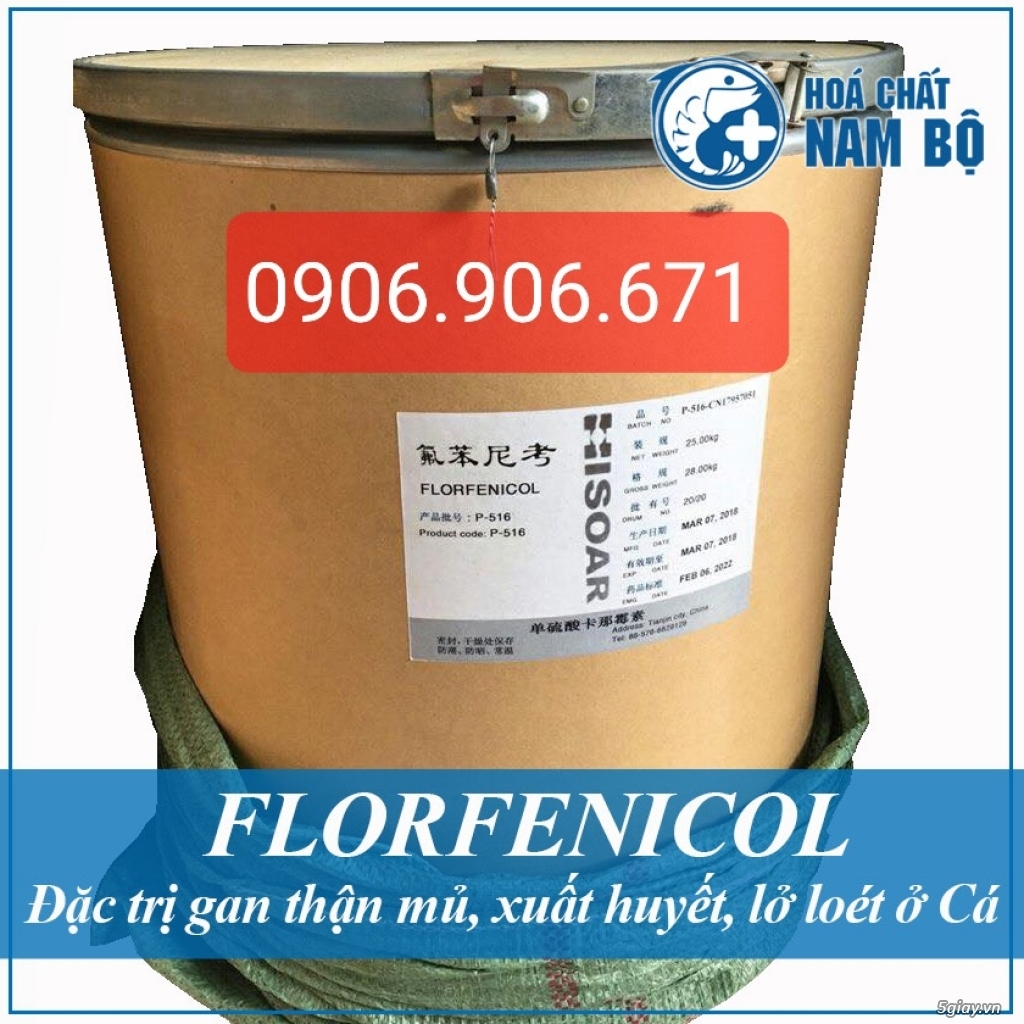 FLORFENICOL KHÁNG SINH NGUYÊN LIỆU | 5giay