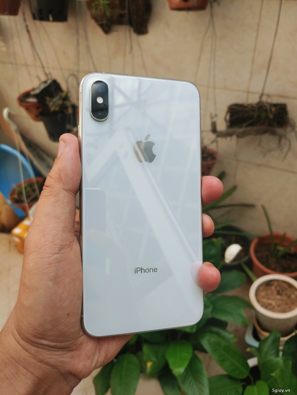 Iphone Xsm 256gb Zin All Zin áp Chuẩn Quốc Tế 5giay