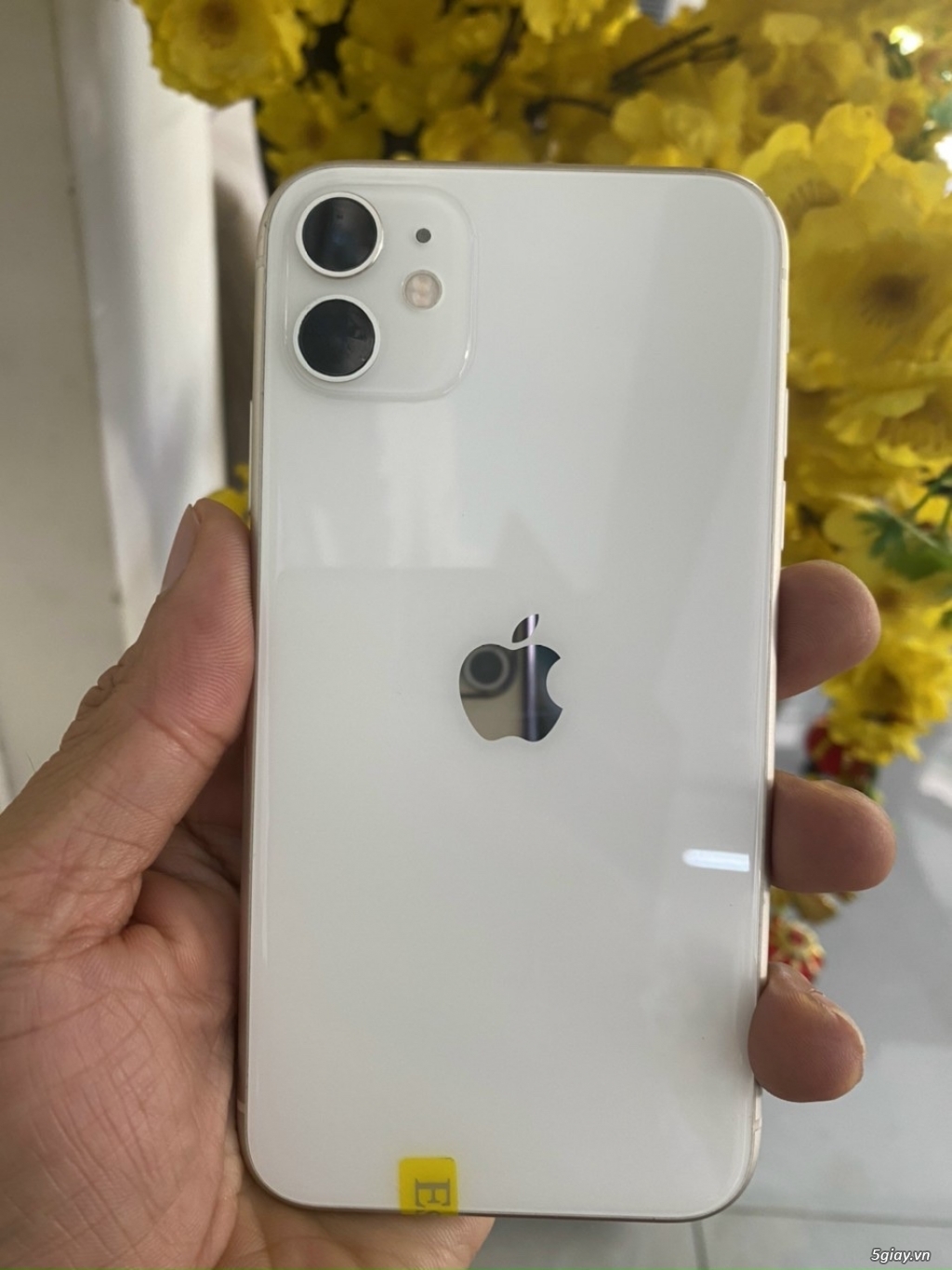 CÁC DÒNG IP 8, 8PLUS HÀNG 98,99% BẢNG QUỐC TẾ 64G | 5giay