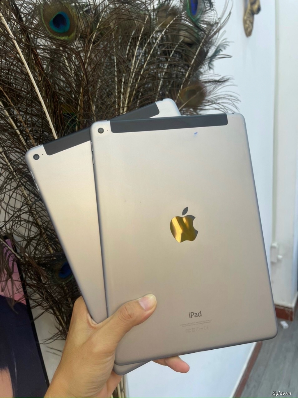 Chuyên bán iPad xách tay Mỹ về iPad air 12, iPad gen 56 iPad pro | 5giay