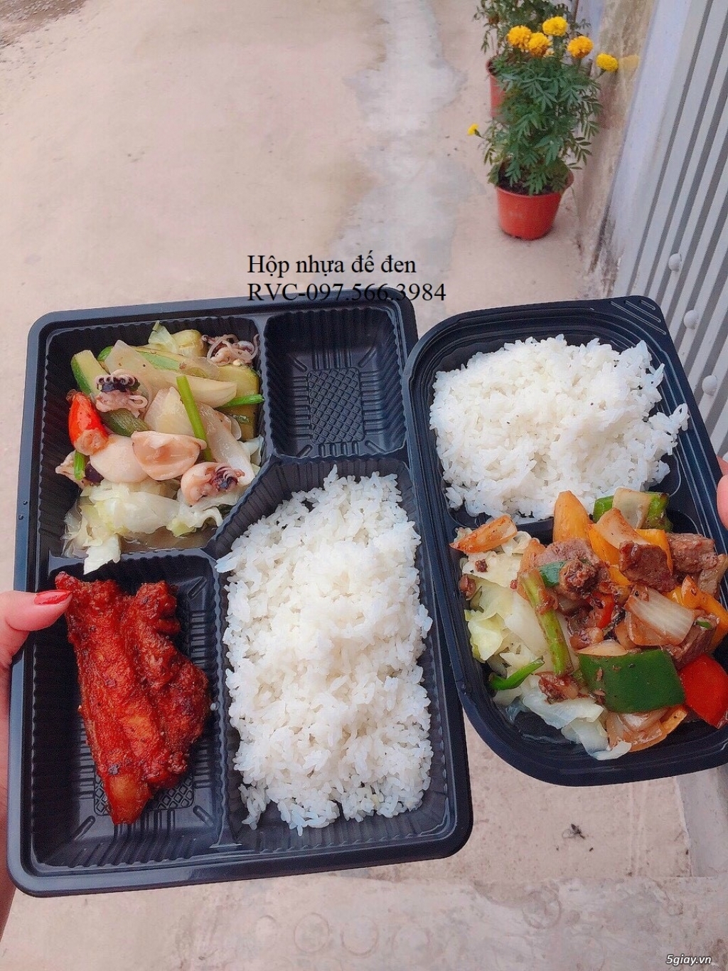 Hộp Nhựa Đựng Cơm Dùng 1 Lần Gía Sỉ giá tốt tại hệ thống 5giay.vn | 5giay