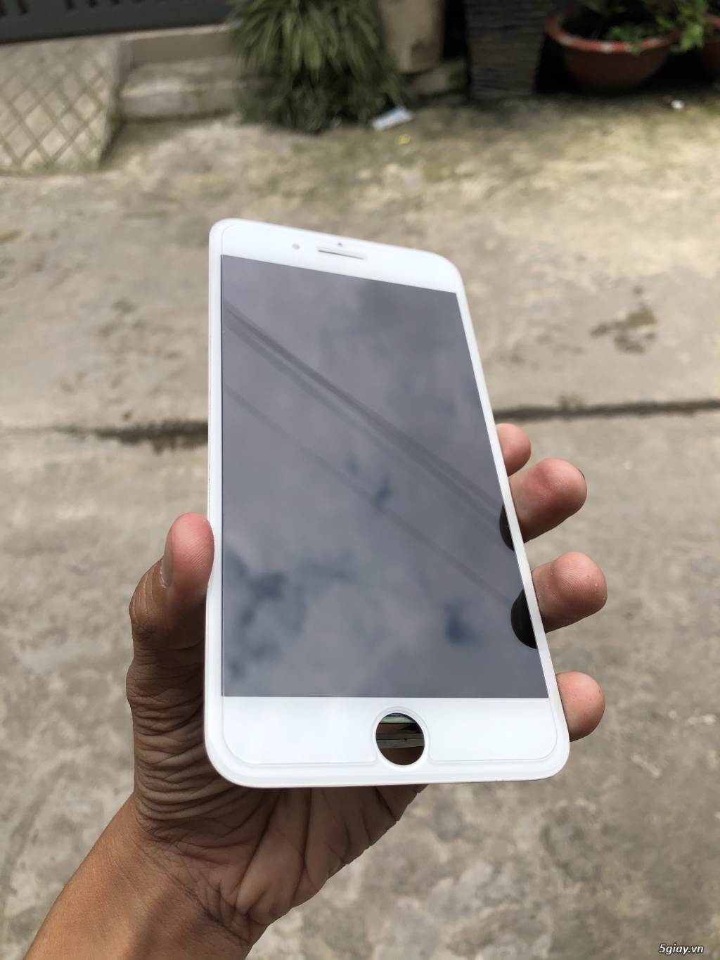 Màn hình 8plus giá tốt nhất 5giay.vn | 5giay
