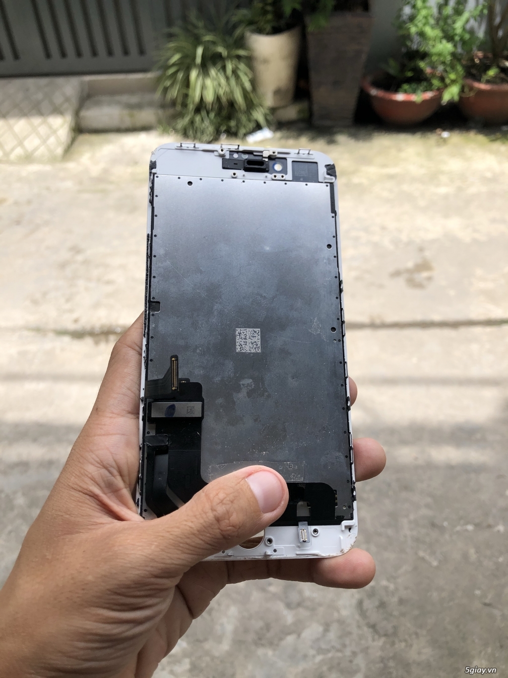 Màn hình 8plus giá tốt nhất 5giay.vn | 5giay