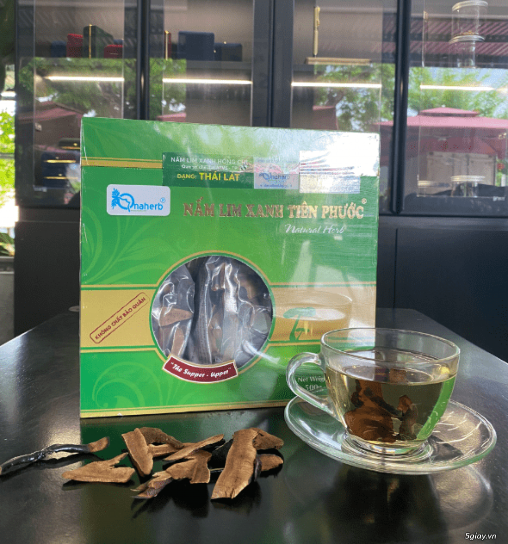 Ling zhi 8 protein trong nấm lim xanh | 5giay