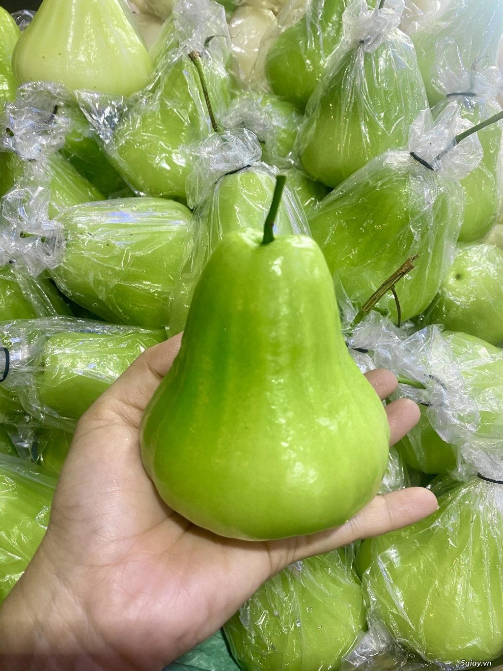 Mận Tam Hoa Đồng Tháp | 5giay