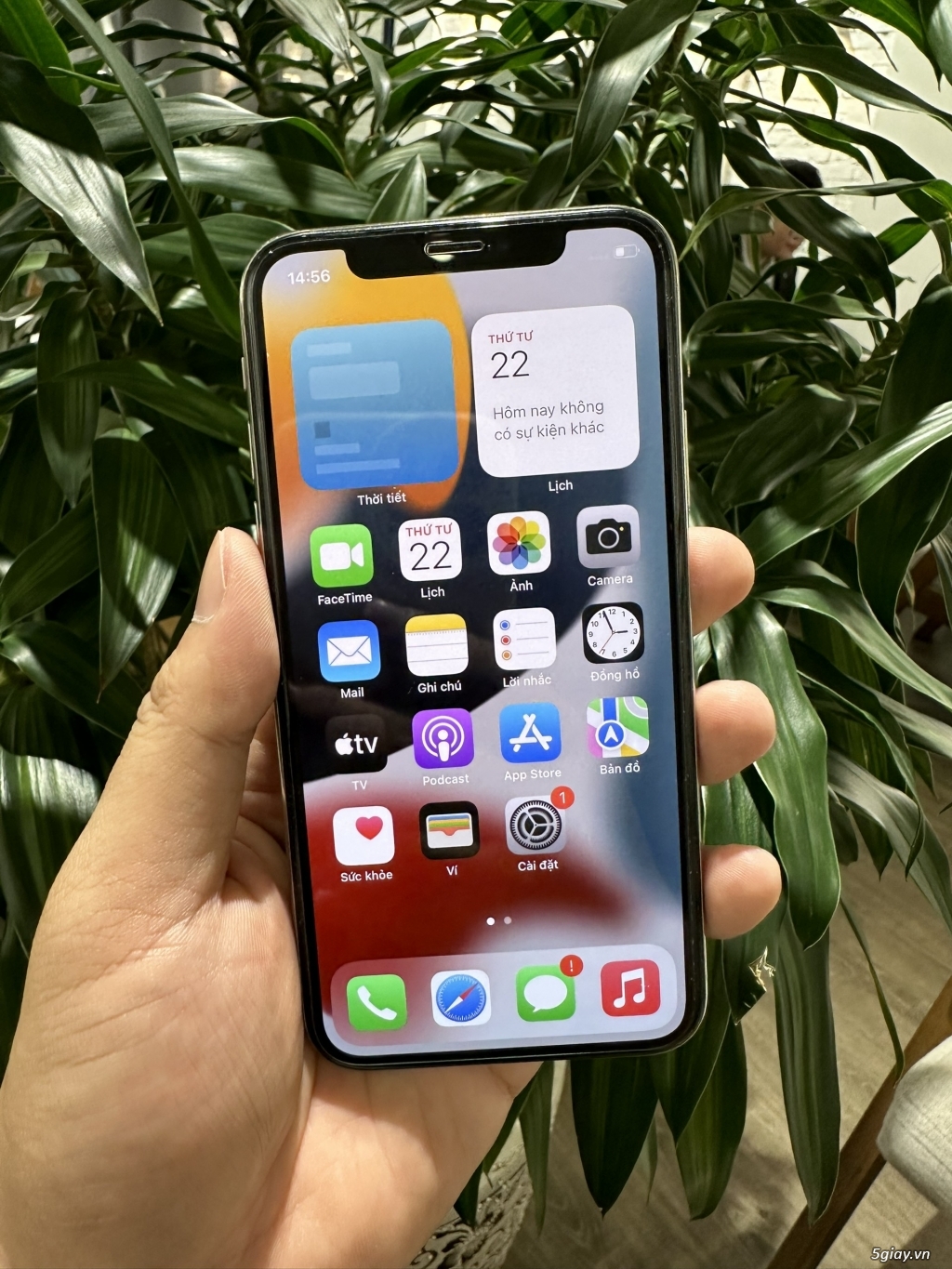 X 256gb Trắng | 5giay