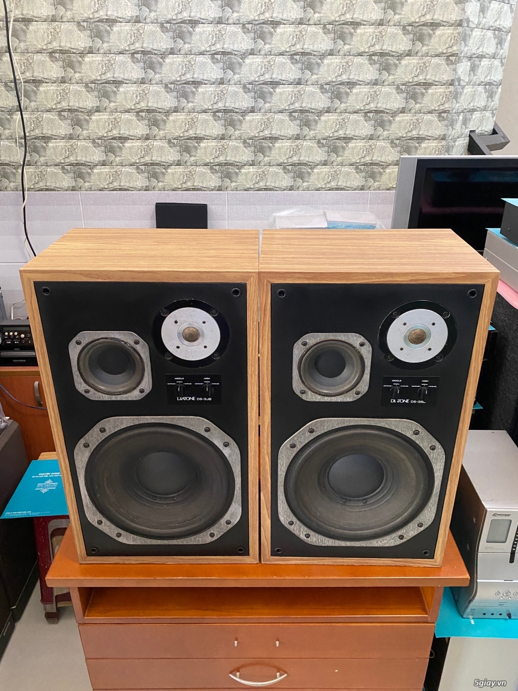 Loa Diatone DS-38B, Bass 30, siêu hay | 5giay