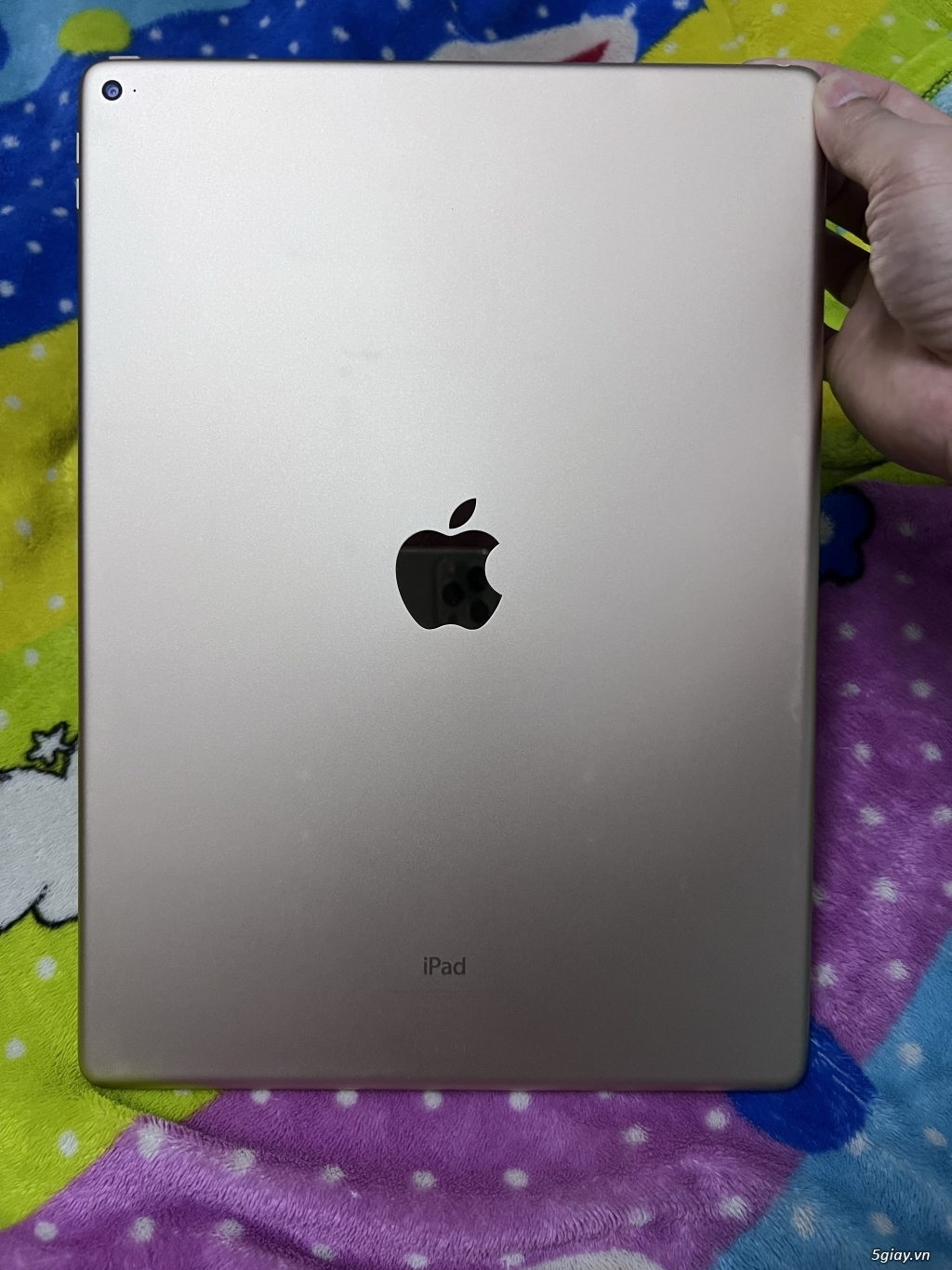 Thanh lý ipad pro 12.9inch Màu Gold | 5giay