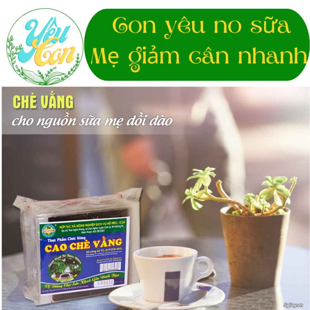 Cao Chè Vằng Quảng Trị Cao Chè Vằng Lợi Sữa Giảm Cân chuẩn Chè Vằng Sẻ ...