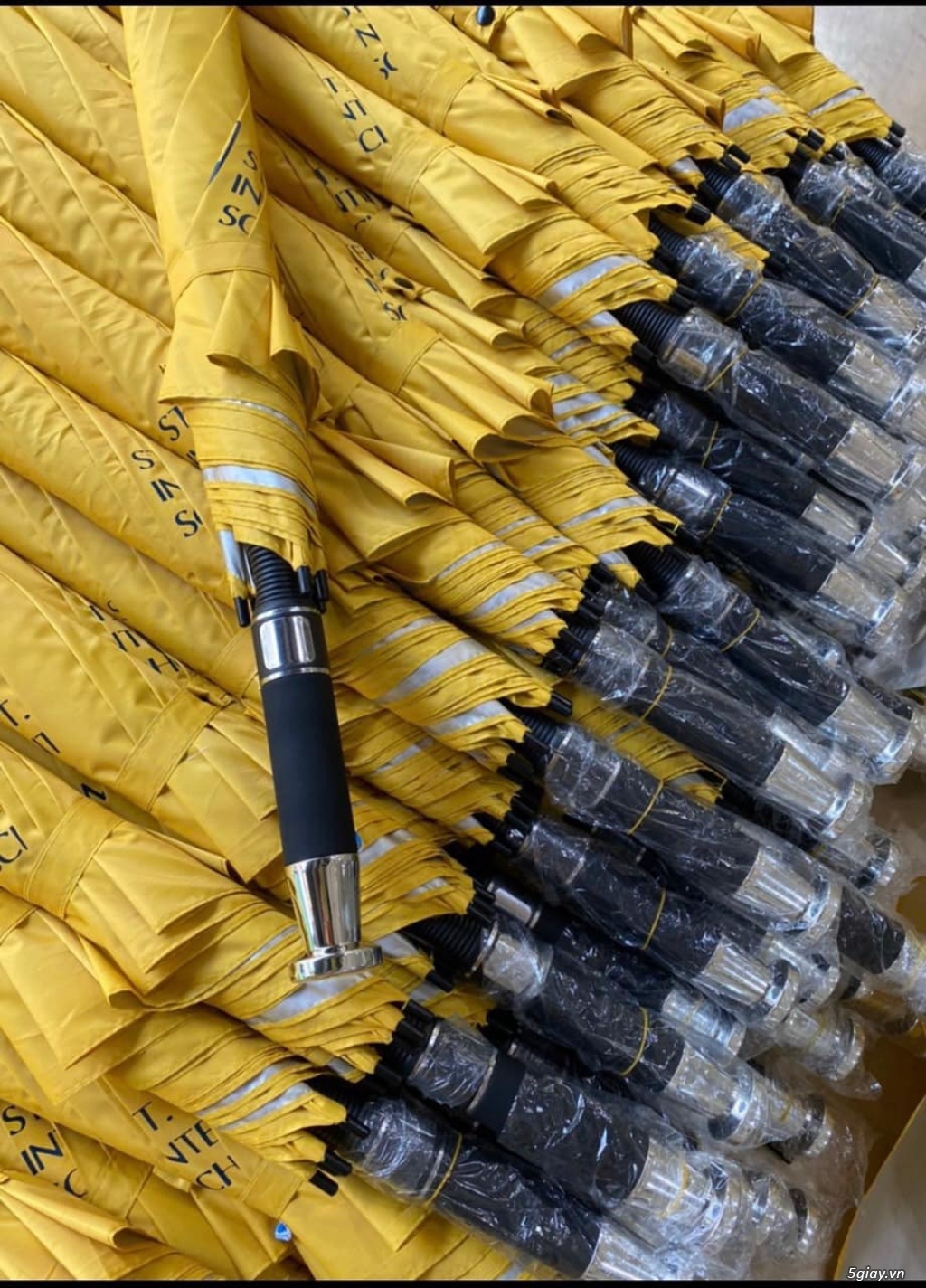 Ô DÙ CAO CẤP IN LOGO | 5giay