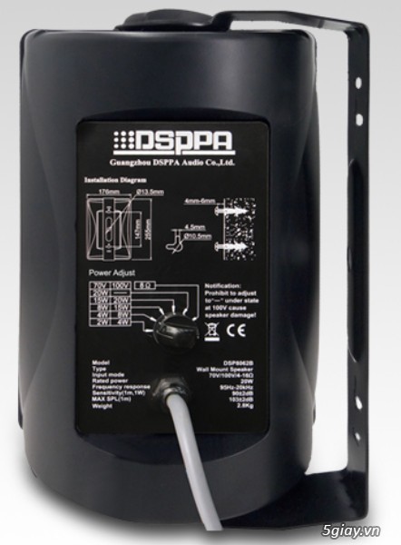 DSPPA DSP8063W - Loa gắn tường CS 30W | 5giay