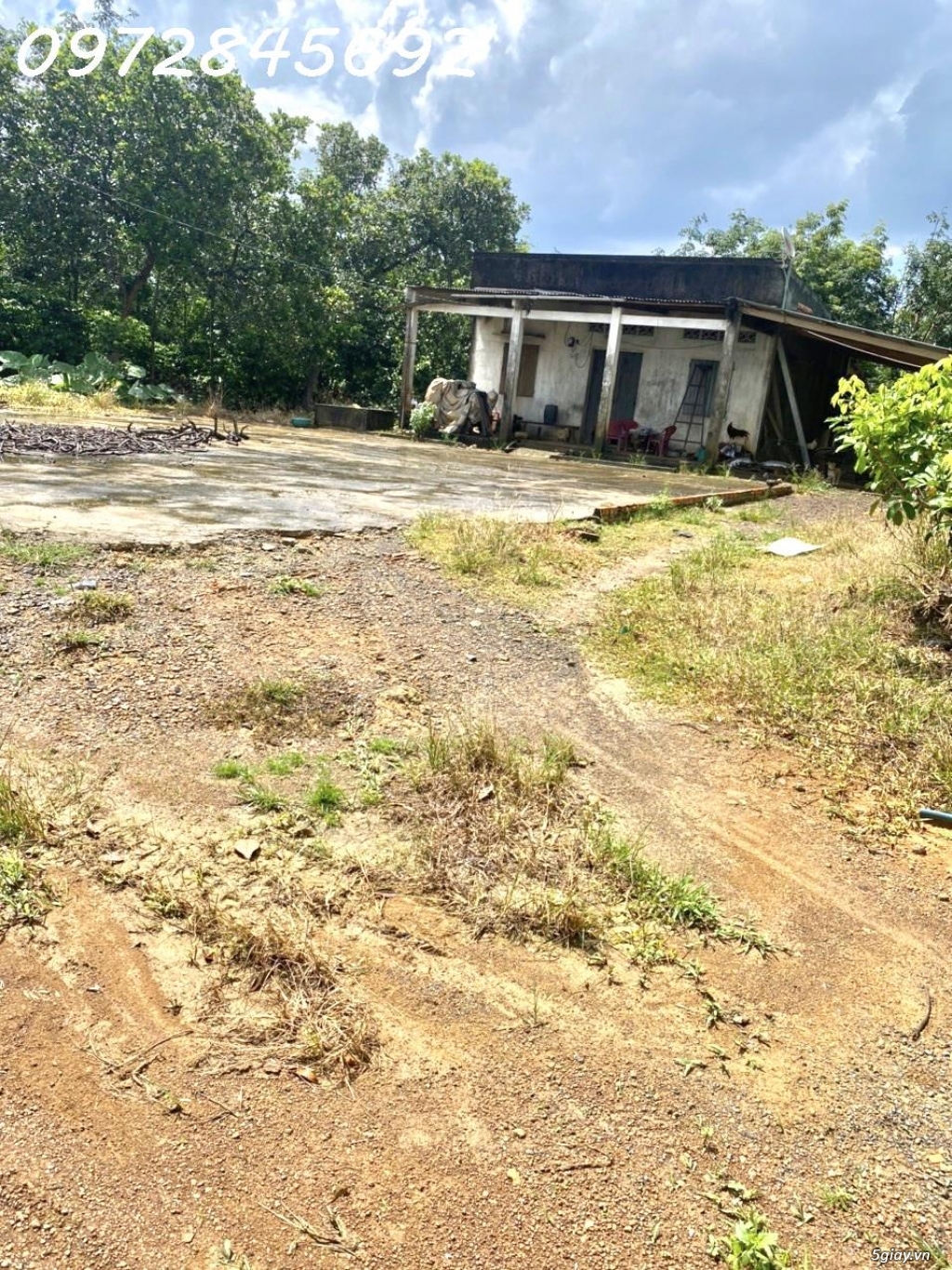 Bán rẻ Đất có Nhà và Vườn giá 320tr | 5giay