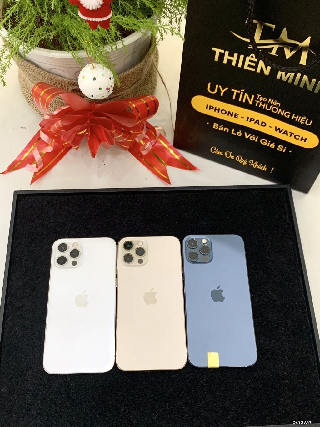 IPGONE 12 PROMAX 256GB XANH LL | 5giay