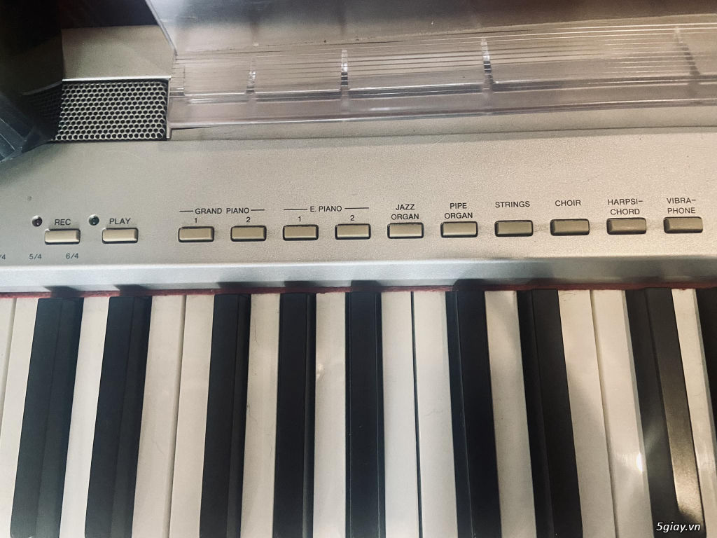 đàn piano giá tốt Yamaha P95 tự tập | 5giay