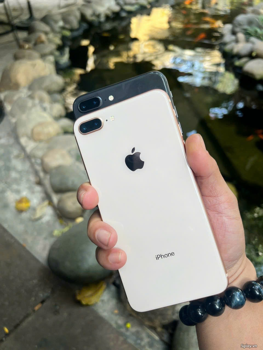 iPhone 8Plus 64G | 5giay
