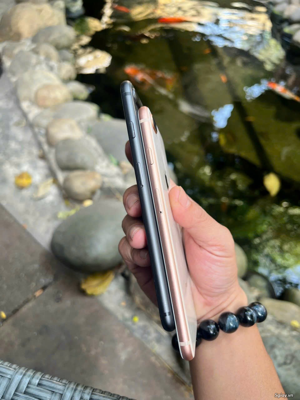 iPhone 8Plus 64G | 5giay